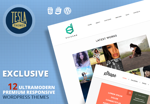 Premium WordPress Theme with modern designs - Inkydeals