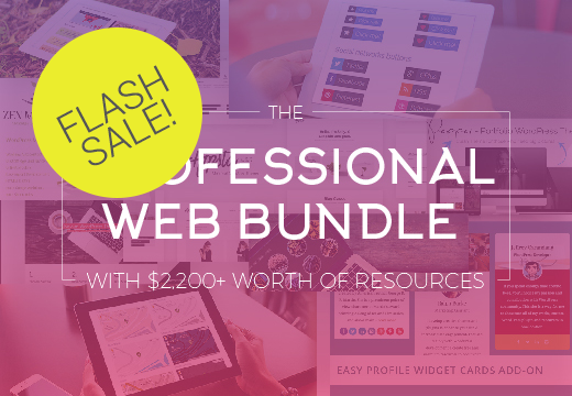 Professional Web Bundle | InkyDeals