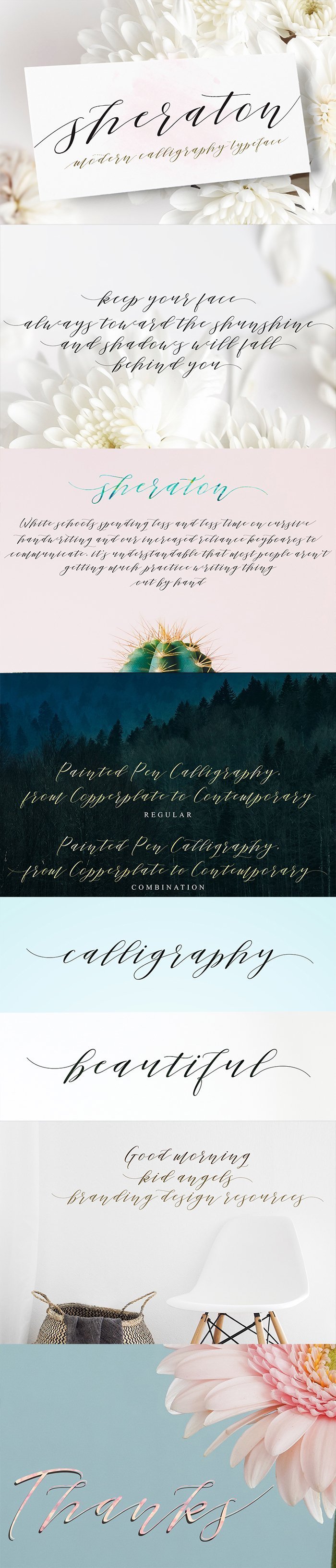 Delightful Fonts Collection - Extended License | InkyDeals