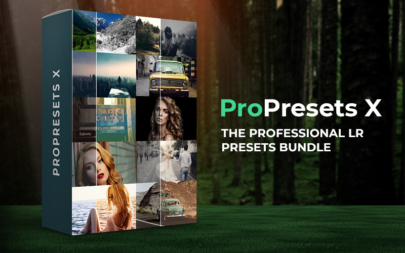 The Professional LR Presets Bundle | InkyDeals
