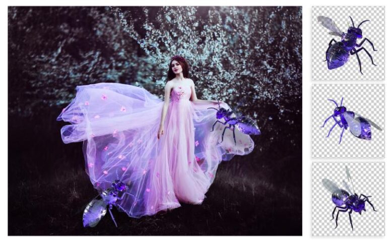 5000+ Premium Transparent Overlays & Backgrounds - Inkydeals