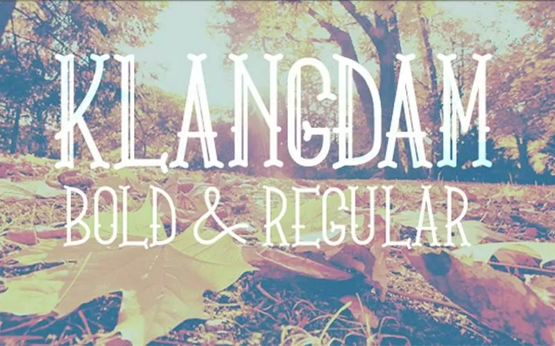 26 Open type Fonts Bundle | $1.99 | InkyDeals