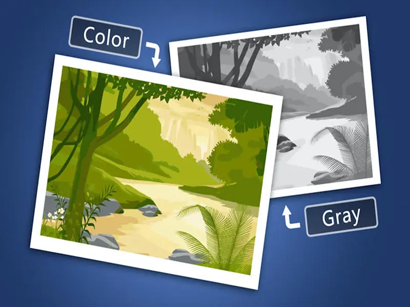 Super Vectorizer Pro - Image to Vector Converter | InkyDeals